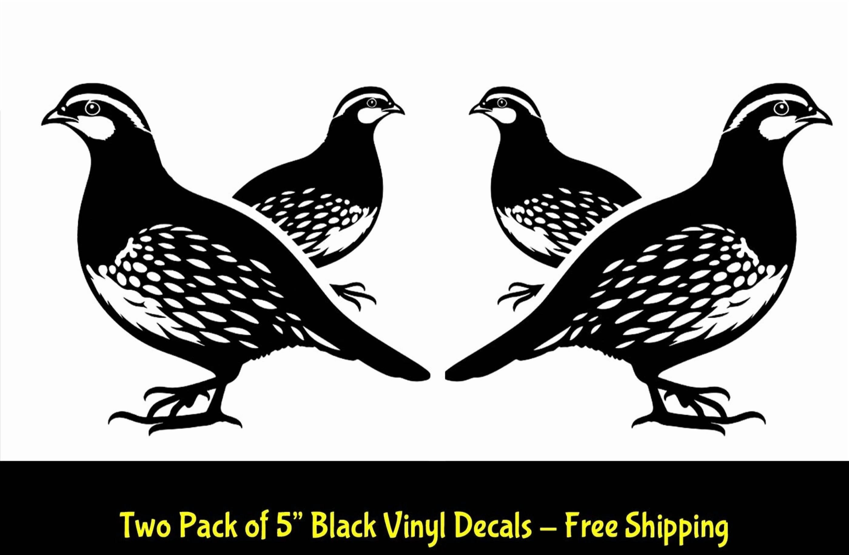 RILYN- Pair Of Quail Two 5" Black Vinyl Decals Window Truck Car Laptop ...