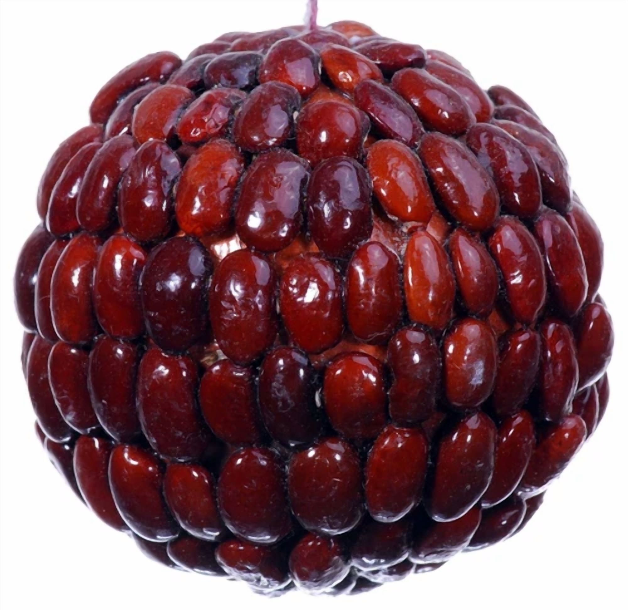 RILYN- Seed Bean Mosaic Decorative Ball Ornament Natural Burgundy ...