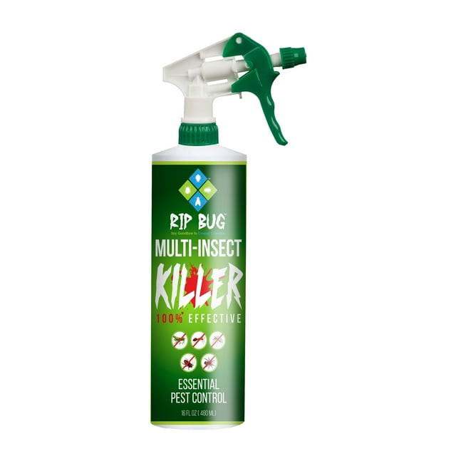 RIP BUG Natural Insect Spray – Fast Pest Control for Ants, Roaches ...