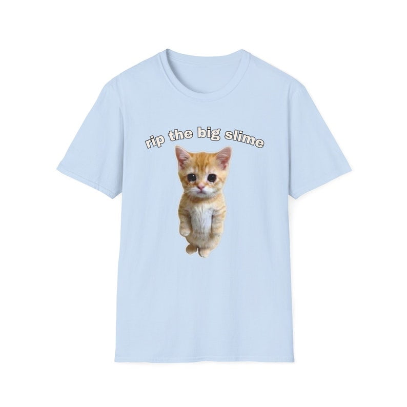RIP the BIG SLIME | Crying Cat Meme | Cat Meme | Internet Cats | Unisex ...