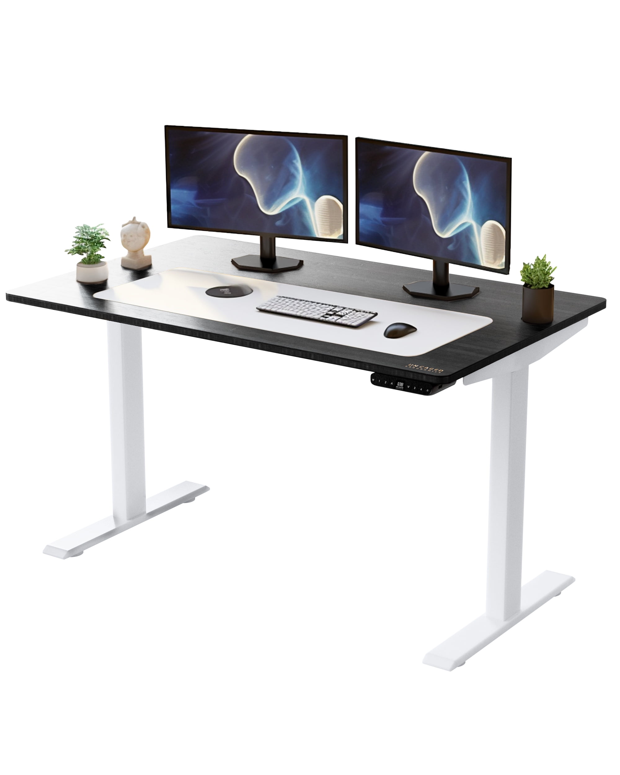 Rise Up 60x30” Bamboo Solid Top Electric Standing Desk | One-Piece ...