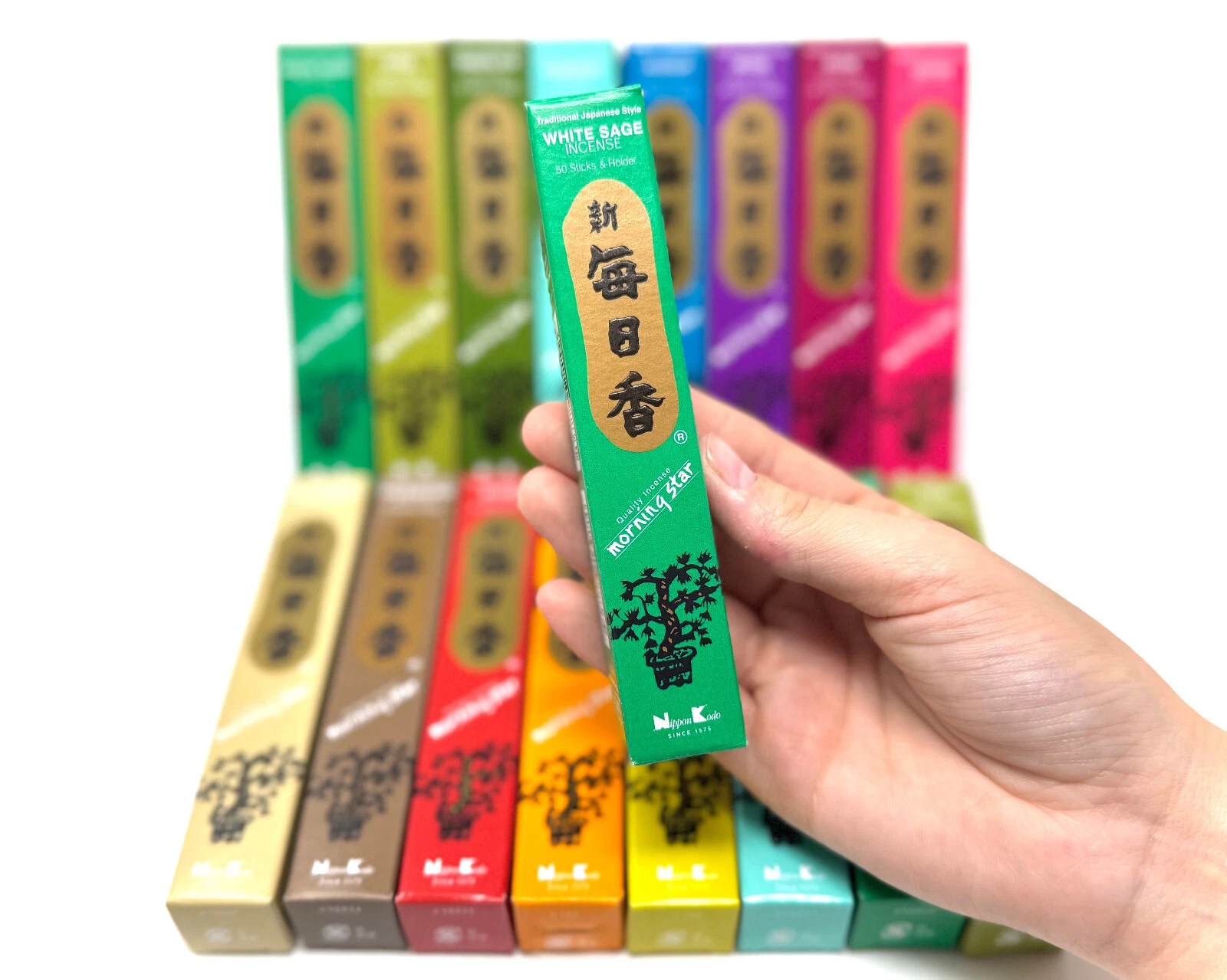 RIVEN- Morning Star White Sage Incense Sticks, Pack Of 50 (Japanese ...
