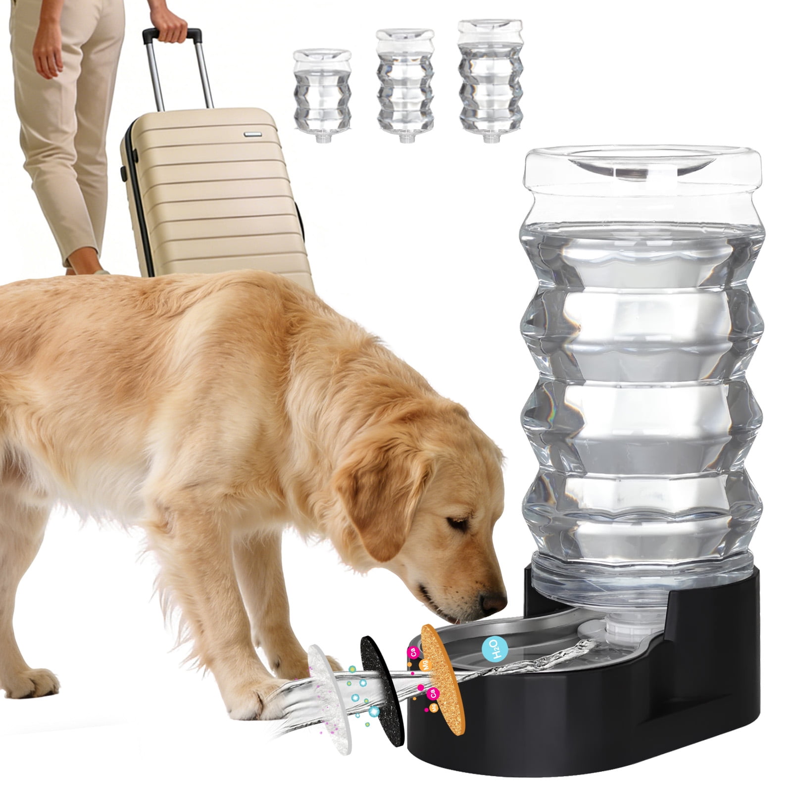 RIZZARI Black 9L Gravity Pet Feeder - Automatic Stainless Steel Water ...
