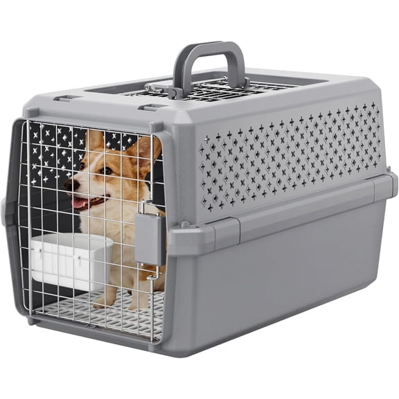 Cat Carrier Hard