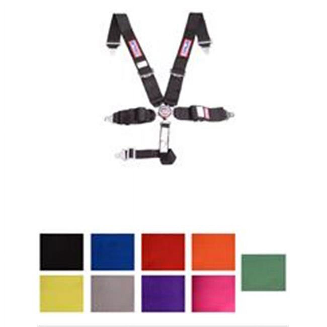 RJS Racing Equipment 1020707 2 in. 6-Point Junior Dragster SFI 16.1 ...