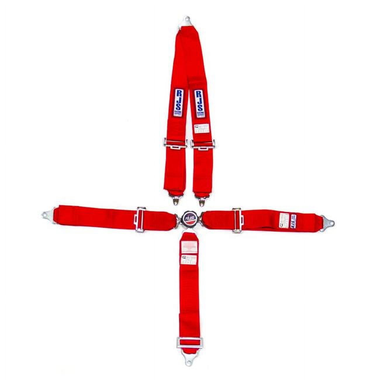 RJS Safety 5-Point Quick Release Camlock Restraint System - Roll Bar ...