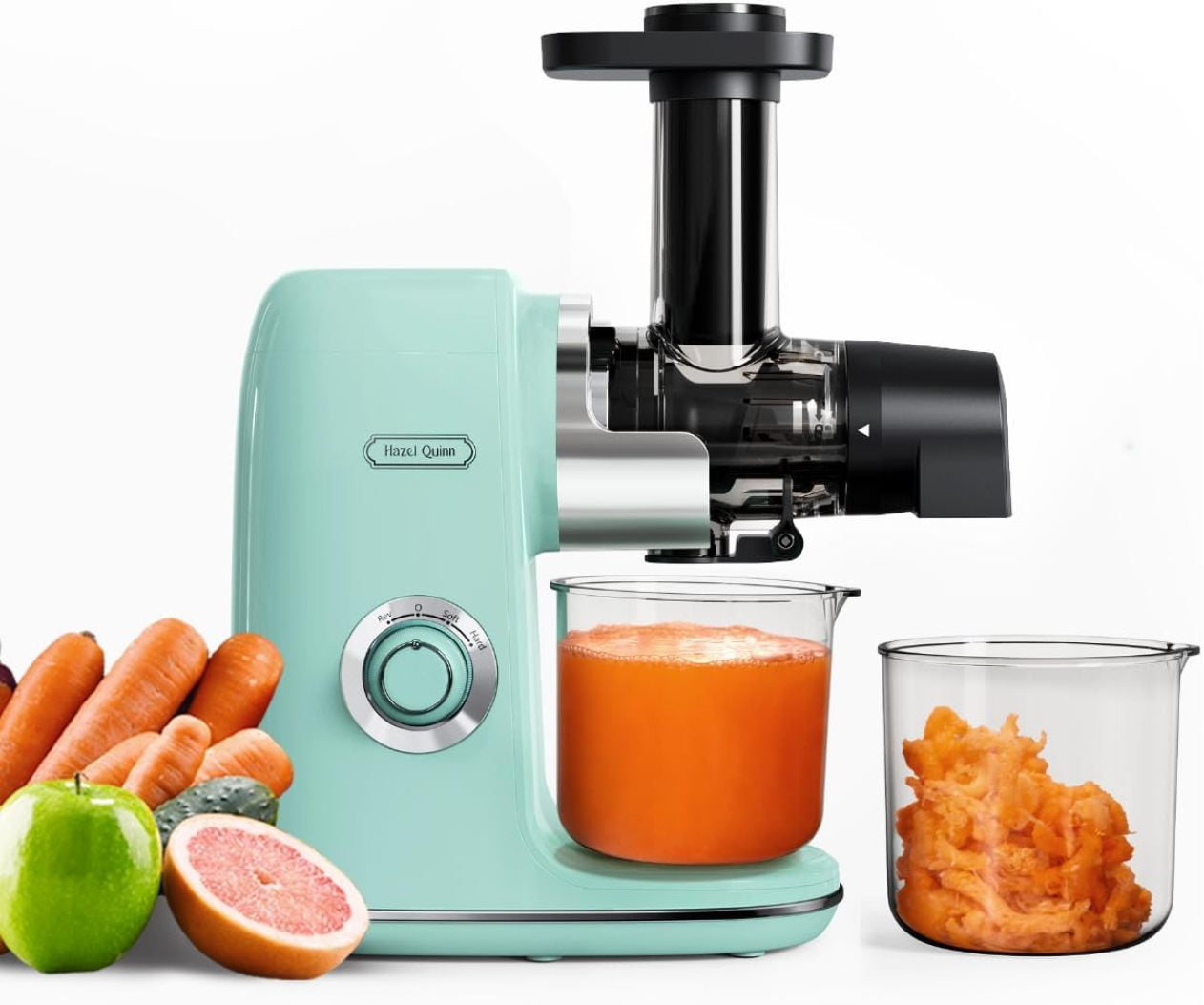 RJTZ Masticating Juicer - Cold Press Slow Juicer for Fruits and ...