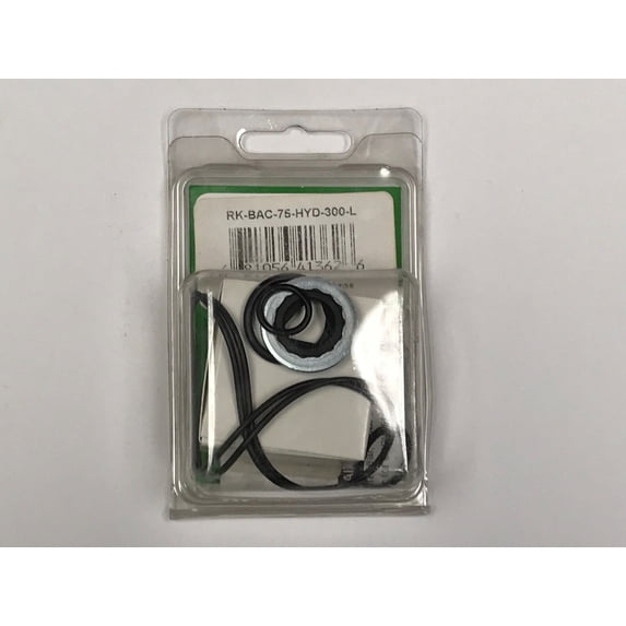 Ace Pumps Repair Kit For 300 Series Motor - RK-BAC-75-HYD-300-L (41362 ...
