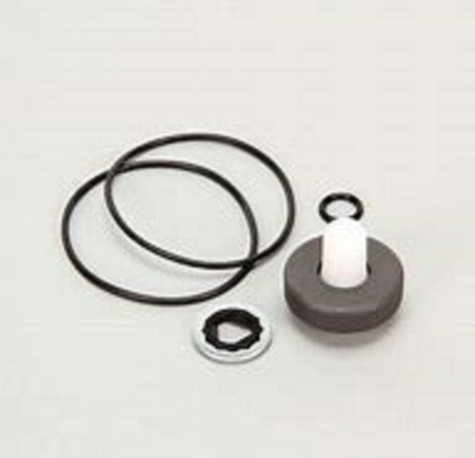 Ace Pumps Repair Kit for 200 Series Motors - RK-BAC-75-HYD-L (41374 ...
