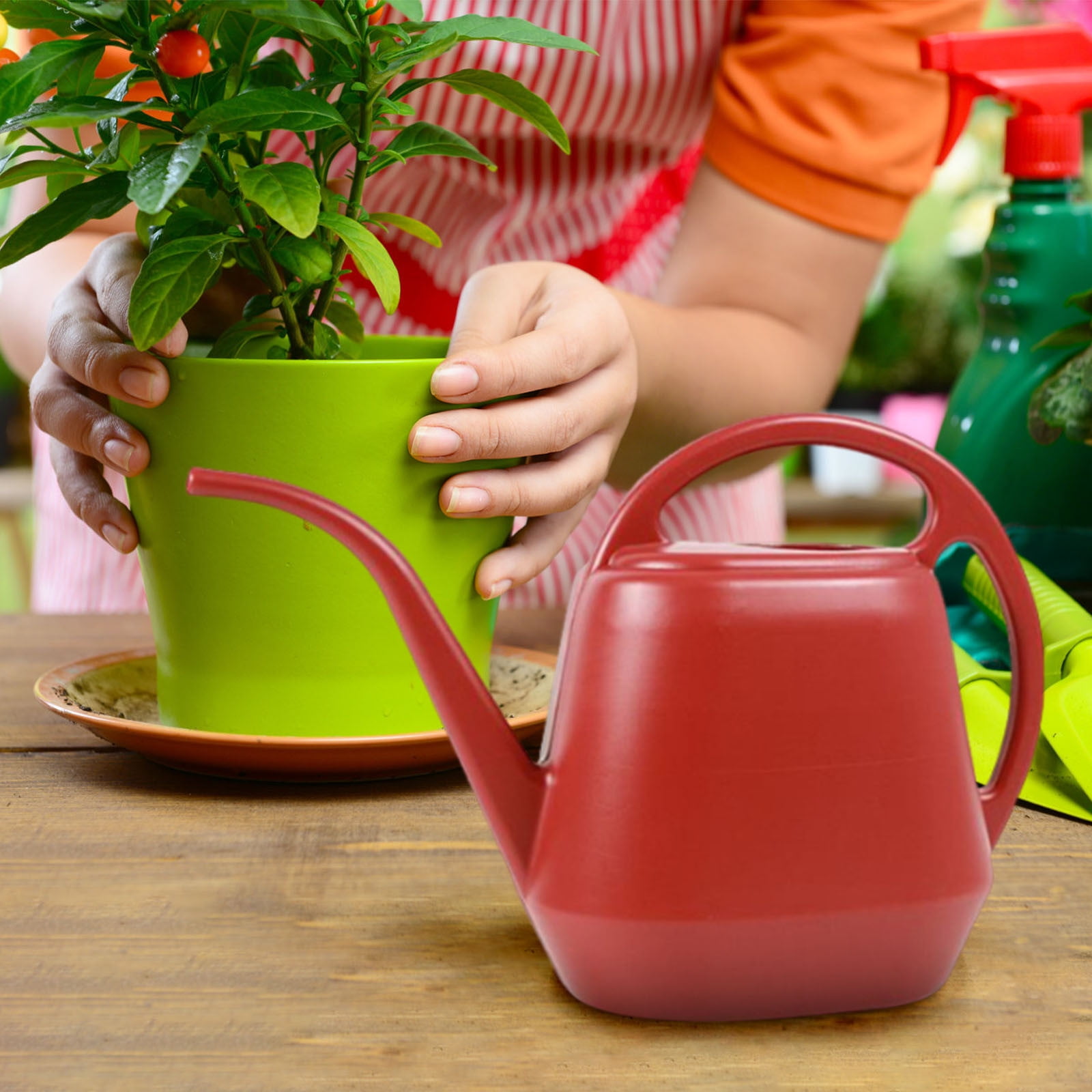 RKSTN Graden Watering Can Outdoor Plants, Plant Watering Can, Long Spout Watering Can for Indoor ...