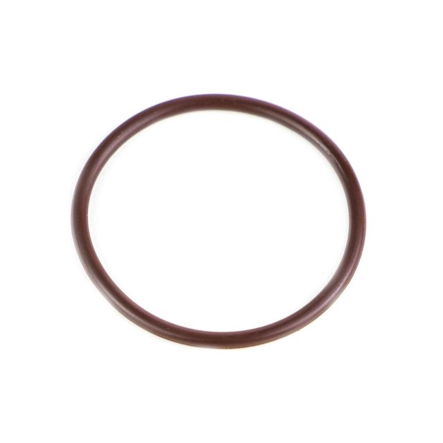 RKX High pressure Fuel Pump Seal for VW Audi WHT005184 - Walmart.com