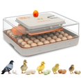 RLXPROO 56 Egg Incubators for Hatching Eggs with Temperature Display ...