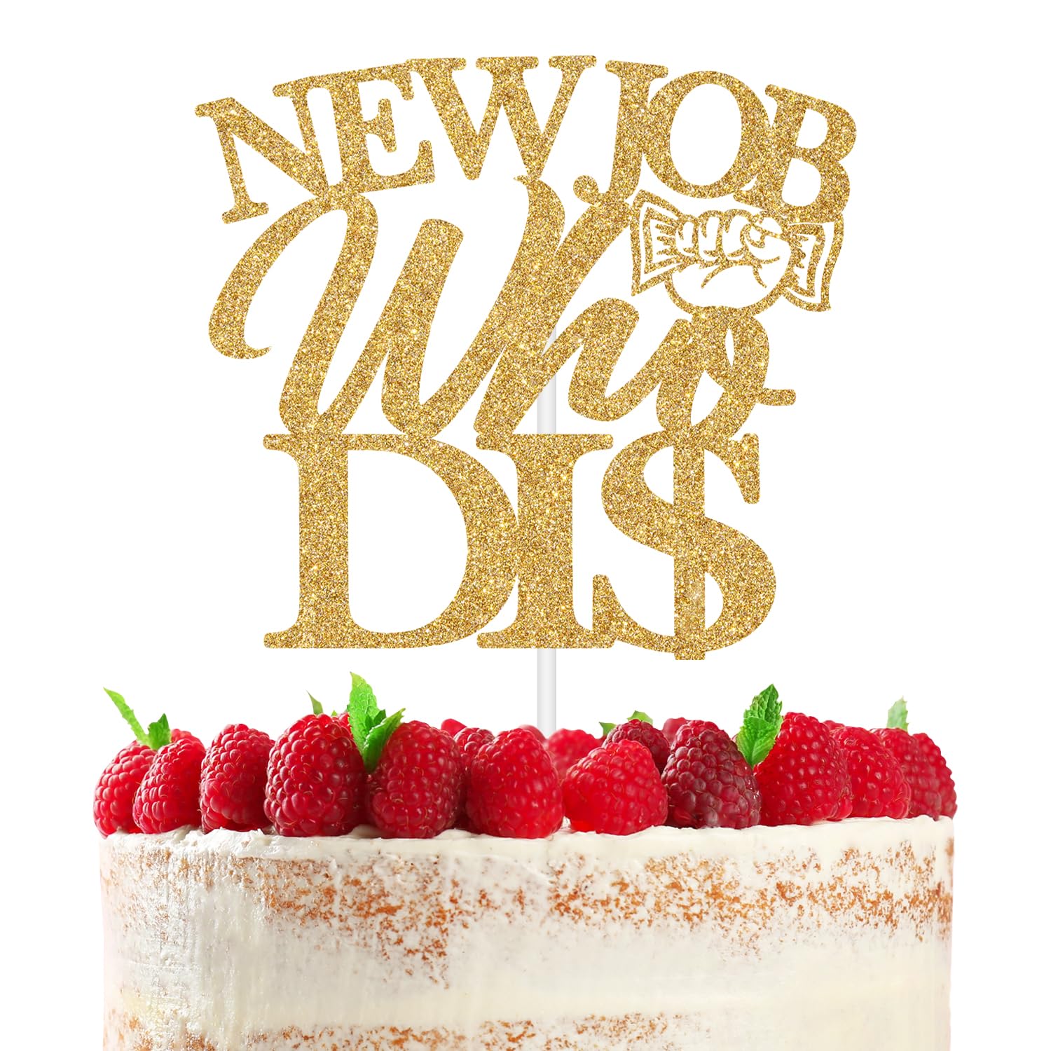 RLXPT New Job Who Dis Cake Topper, MDH1Congrats Coworker New Job Change ...