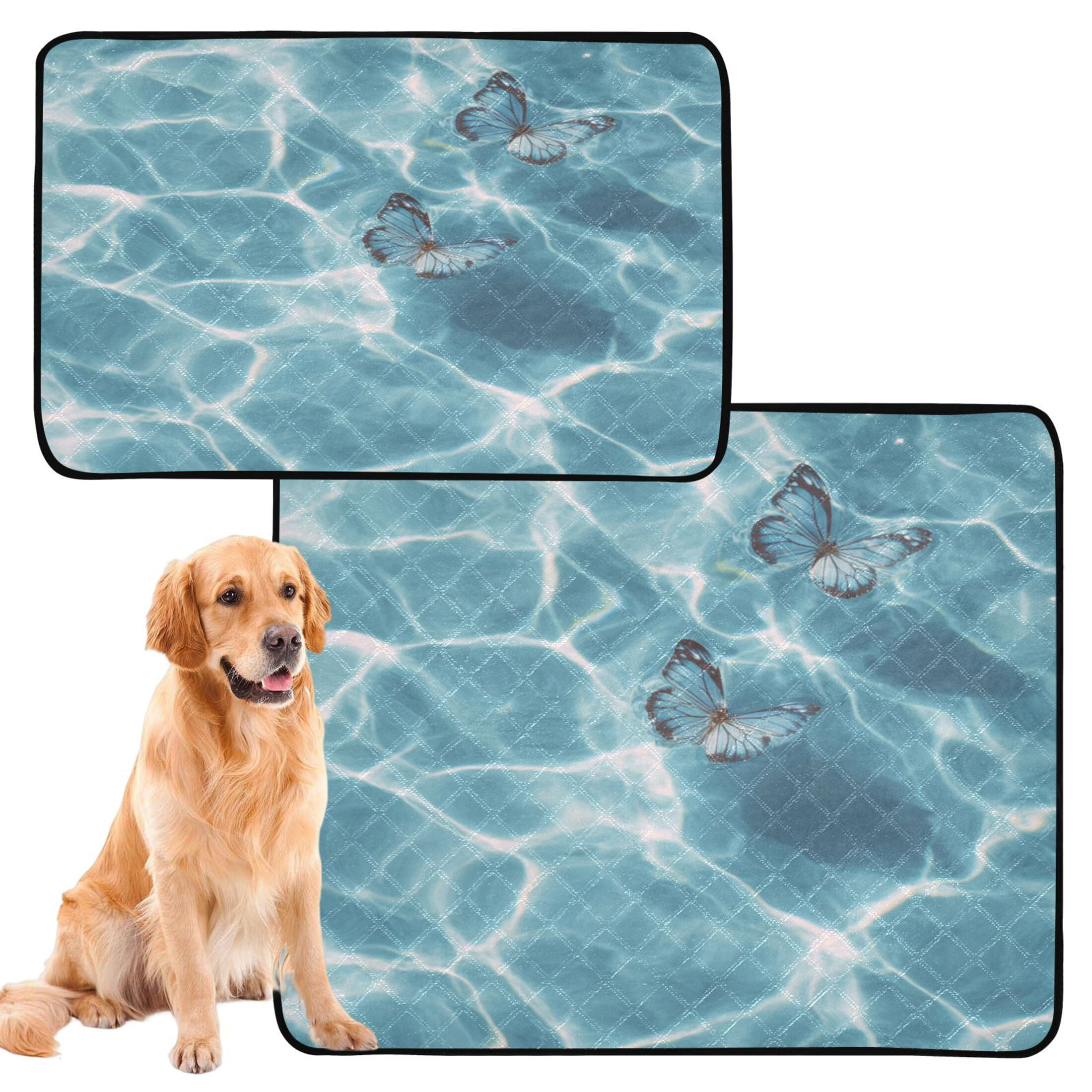 RMDQTR 2Pack Set of Medium and Large Pet Potty Pads Reusable Ultra ...