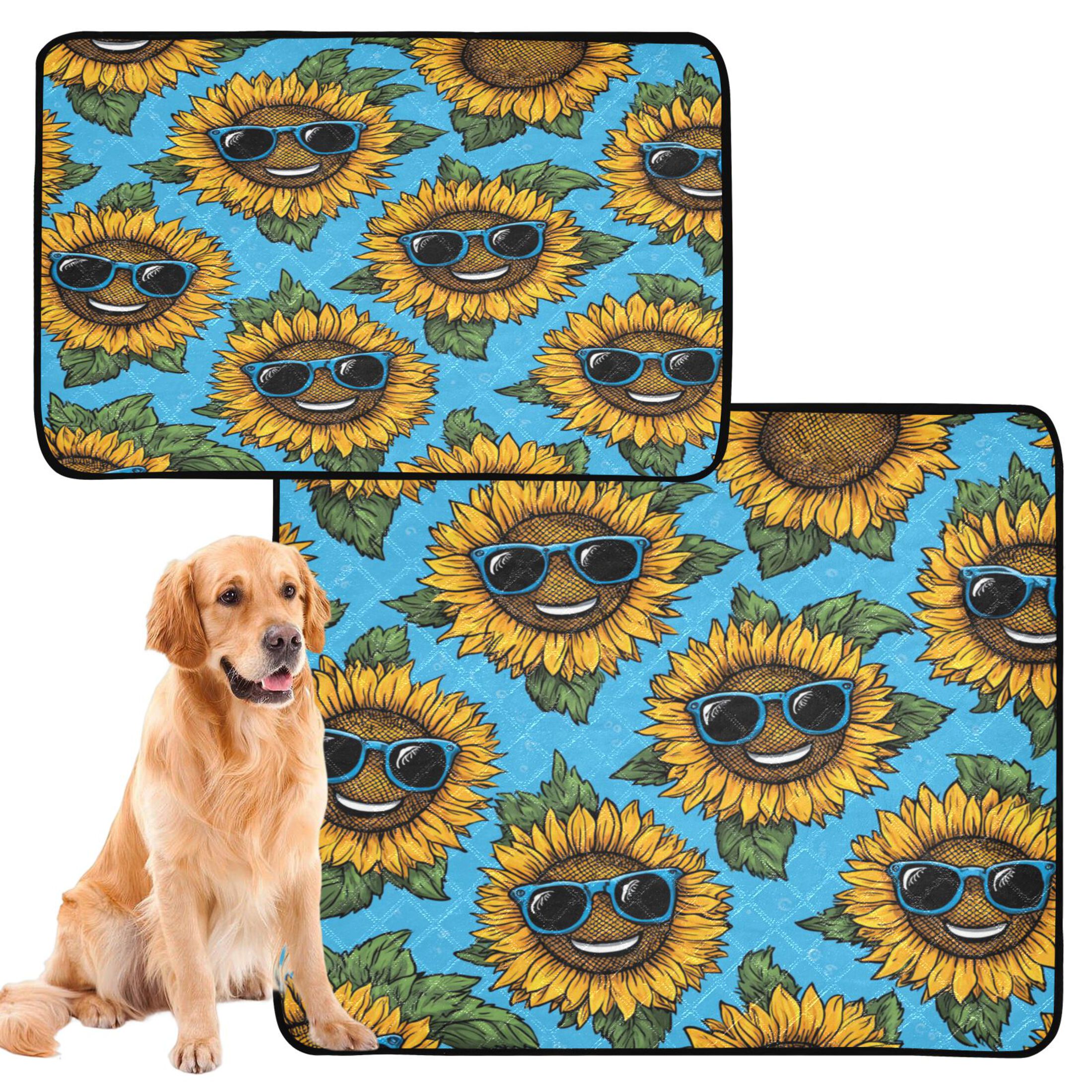 RMDQTR 2Pack Set of Medium and Large Pet Potty Pads Reusable Ultra ...