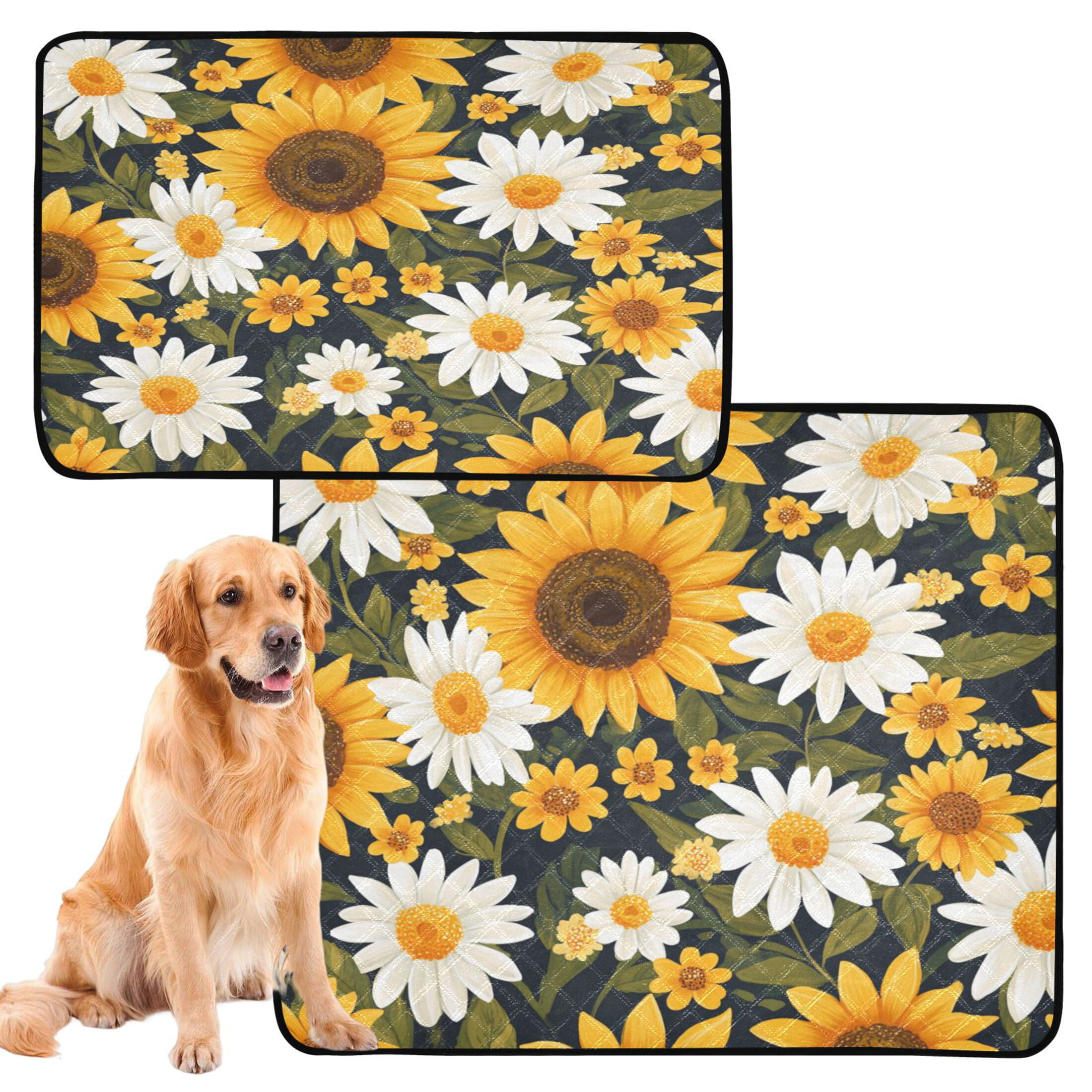 RMDQTR 2Pack Set of Medium and Large Pet Potty Pads Reusable Ultra ...