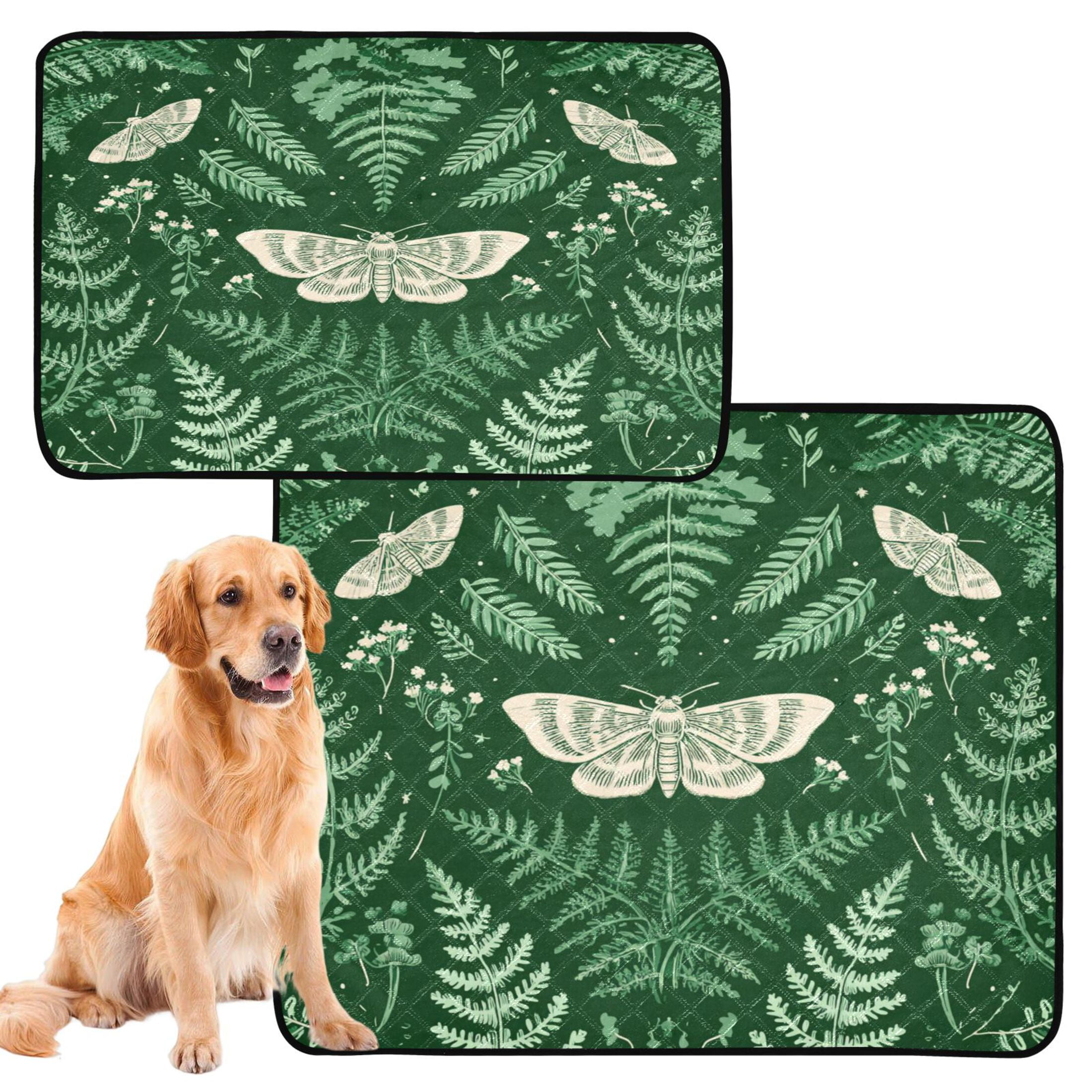 RMDQTR 2Pack Set of Medium and Large Pet Potty Pads Reusable Ultra ...