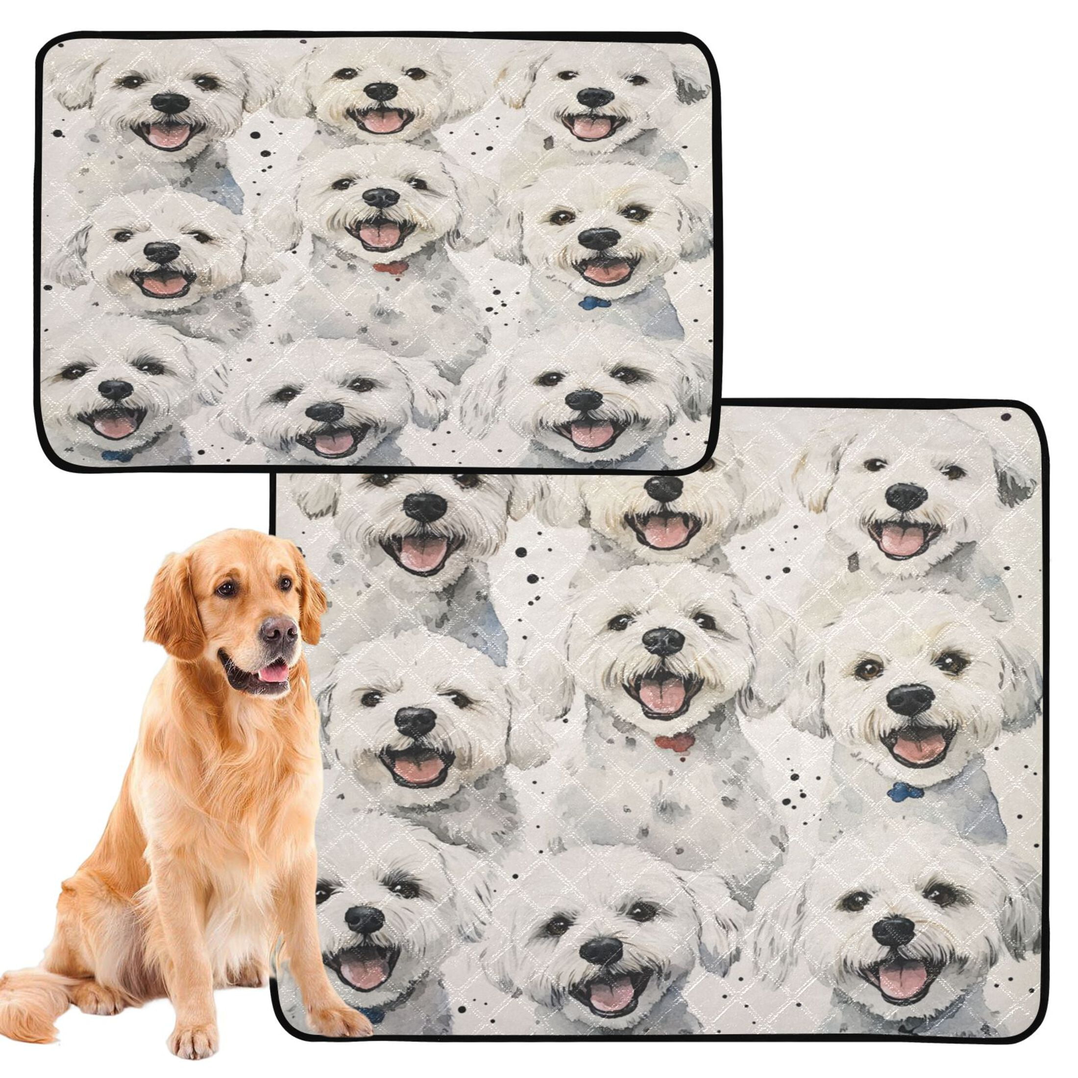 RMDQTR 2Pack Set of Medium and Large Pet Potty Pads Reusable Ultra ...