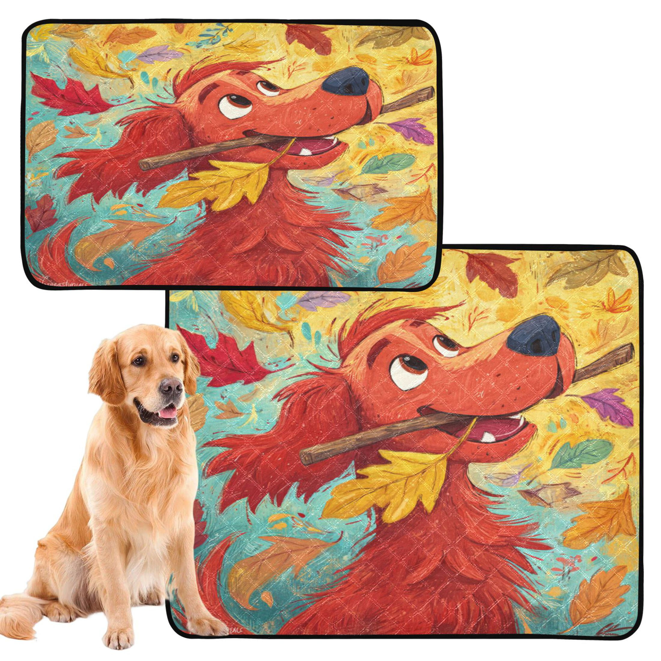 RMDQTR 2Pack Set of Medium and Large Pet Potty Pads Reusable Ultra ...
