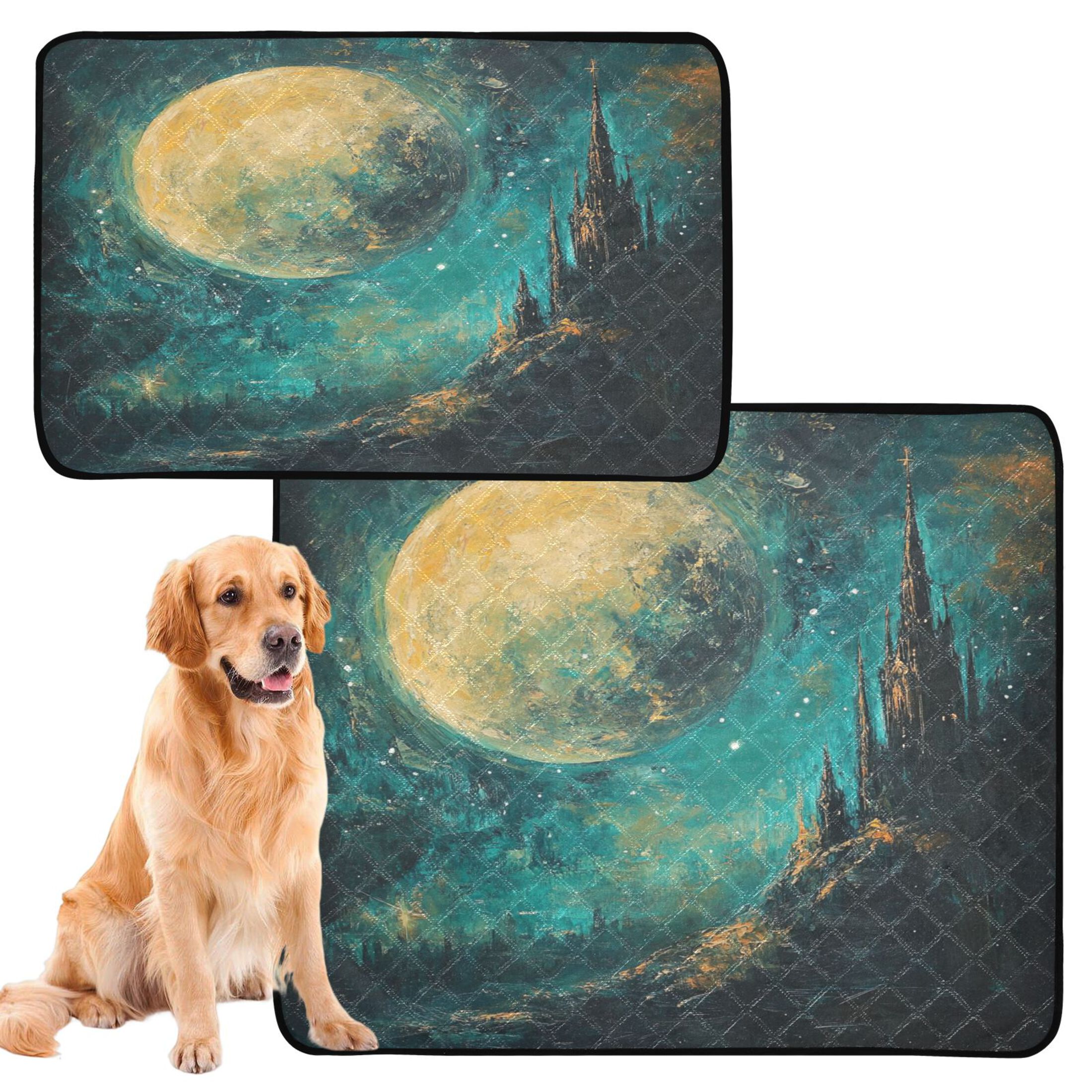 RMDQTR 2Pack Set of Medium and Large Pet Potty Pads Reusable Ultra ...