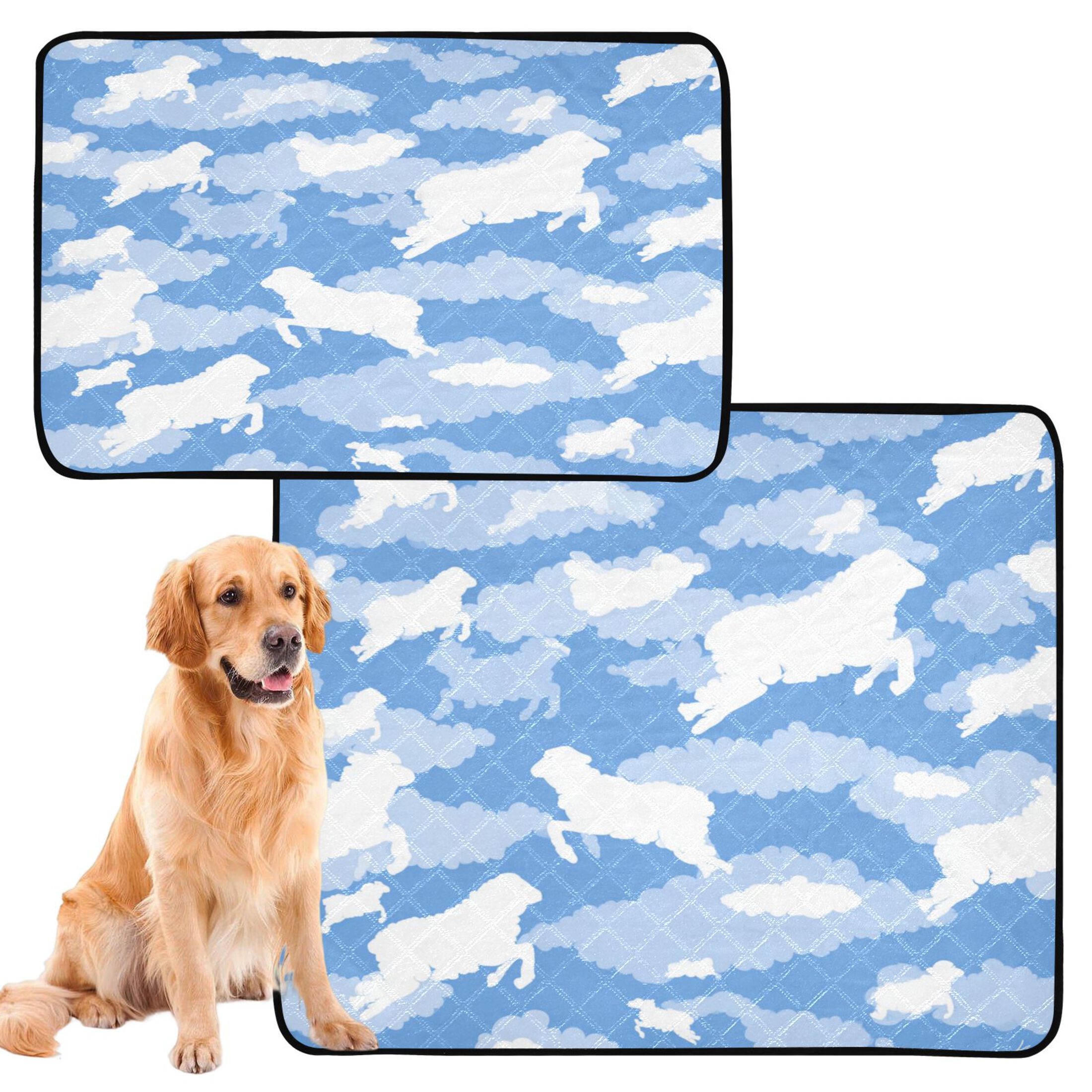 RMDQTR 2Pack Set of Medium and Large Pet Potty Pads Reusable Ultra ...
