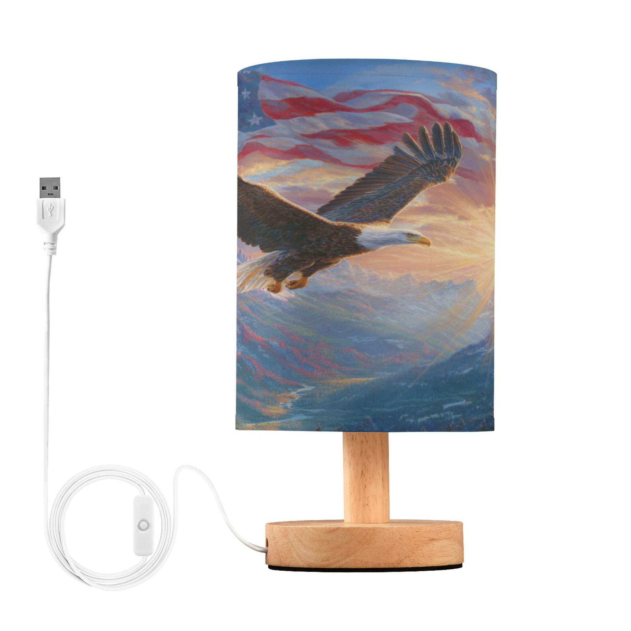 RMDQTR LED Push-Button Switch Warm-Tone Desk Lamp Plug-and-Play No ...