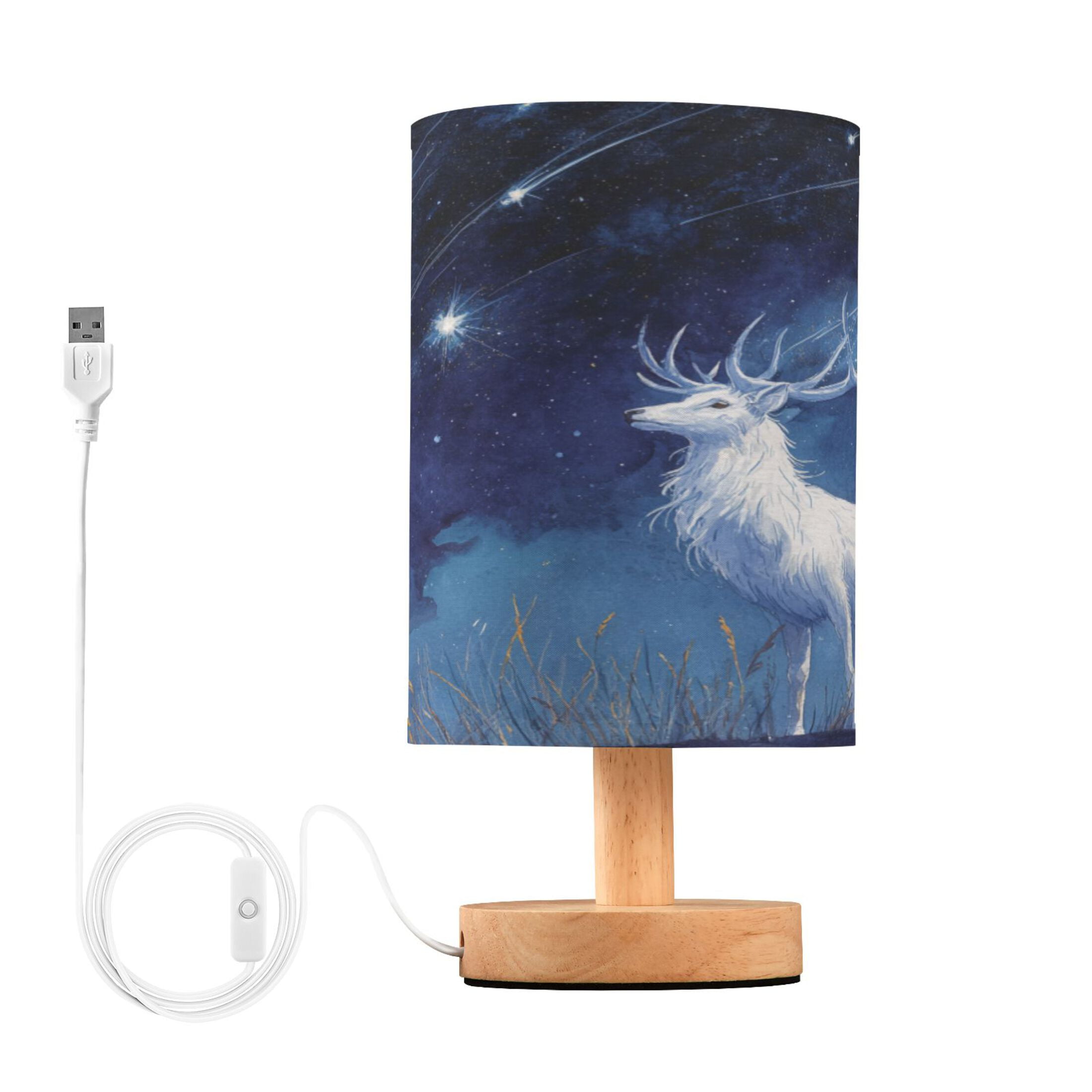 RMDQTR LED Push-Button Switch Warm-Tone Desk Lamp Plug-and-Play No ...