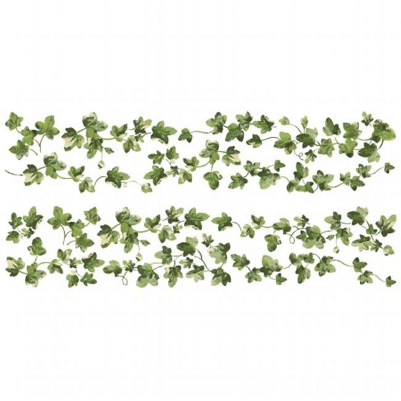 RMK2409SCS Painterly Ivy Peel and Stick Wall Decals Adult Kitchen ...