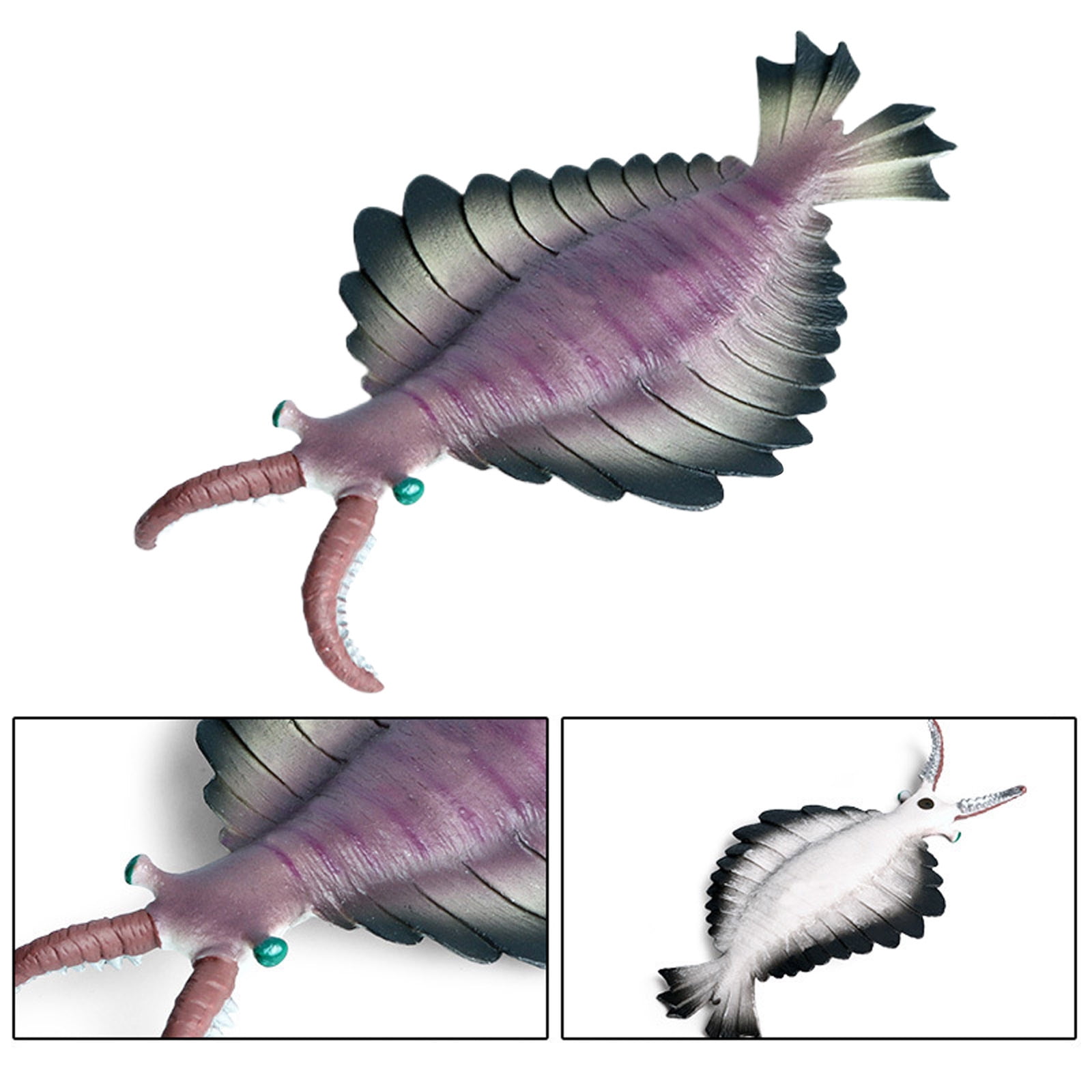 RNkgnb Prehistoric Sea Creatures Figurine Marrella Animal Figures ...