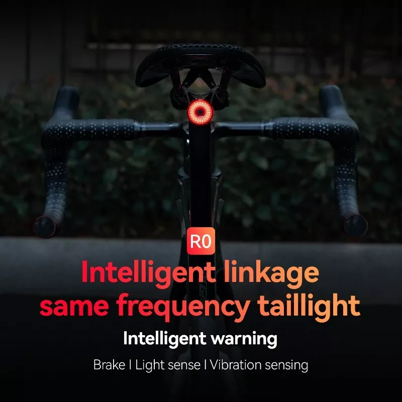 ROCKBROS Bicycle Bike Brake Sensing Waterproof LED Smart Rear Tail ...