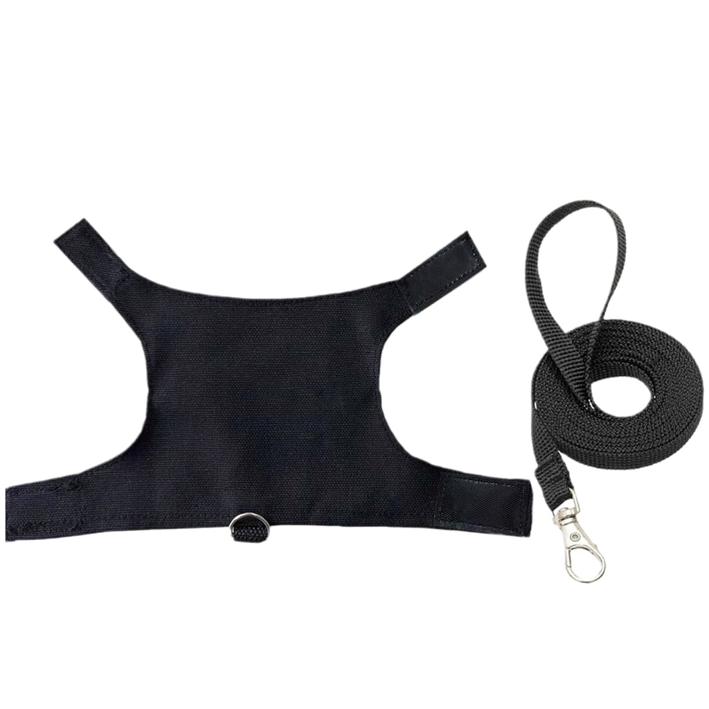 ROCKROK Reptiles Lizards Chest Harness Leash Set Prevent Escape Away ...