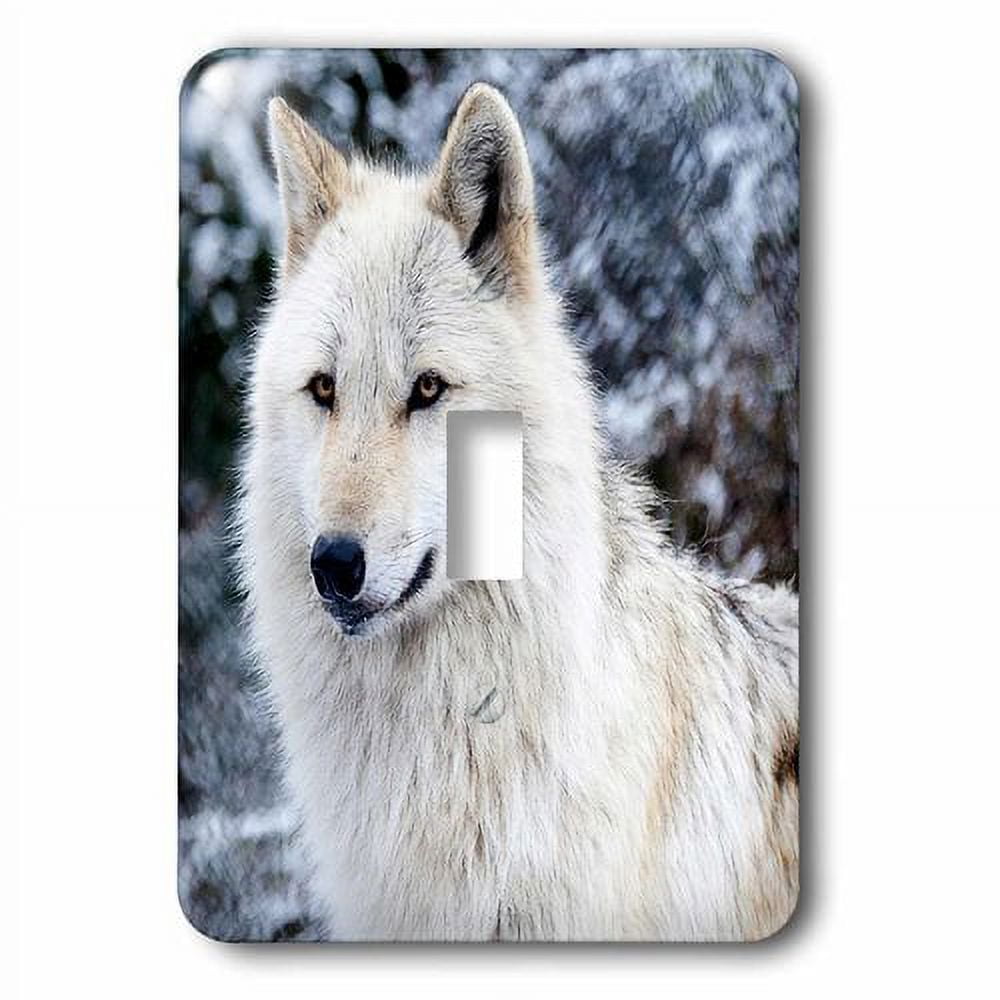 3dRose, ROCKY MOUNTAIN GRAY WOLF , single toggle switch - Walmart.com