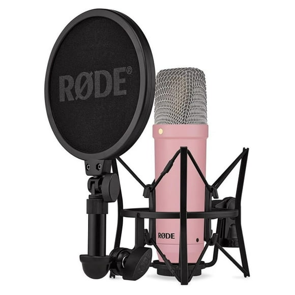 Pink Microphone