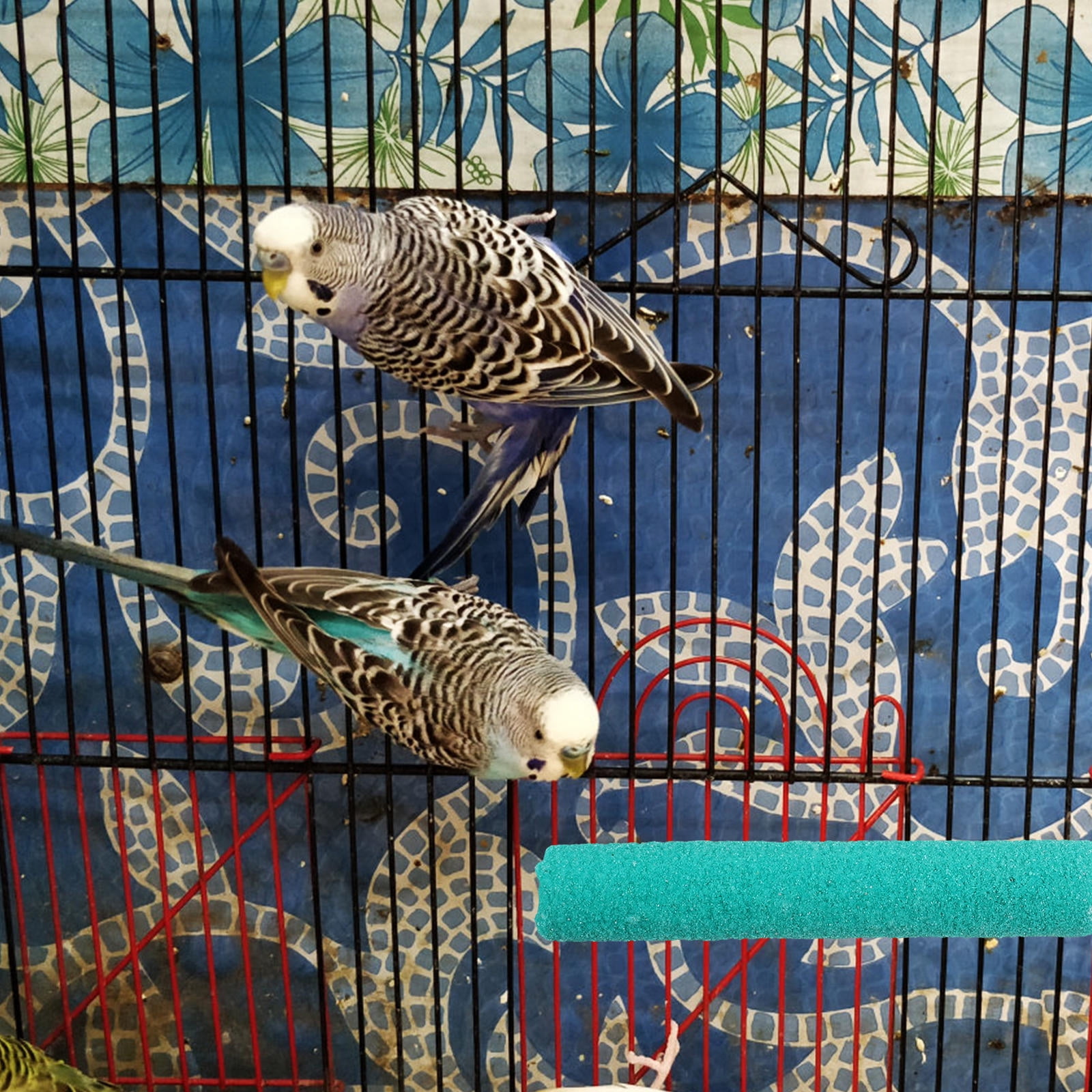 ROMANSENTIAL Bird Perch Stand and Claw Grind Bar for Small Parrot Toys ...