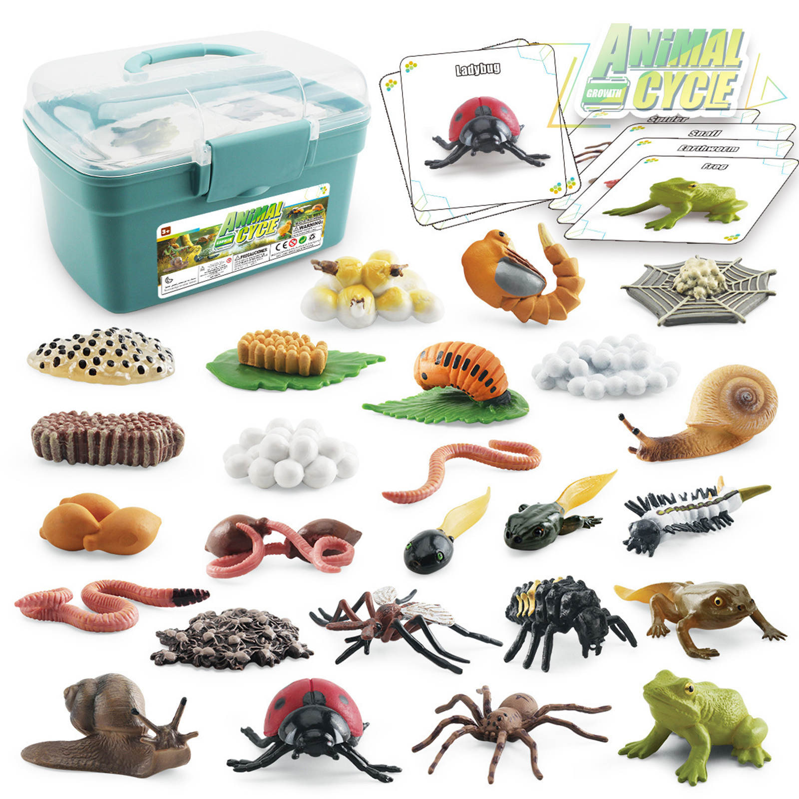 RONSHIN Life Cycle Learning Toys Frog Spider Earthworm Animal Figurines ...