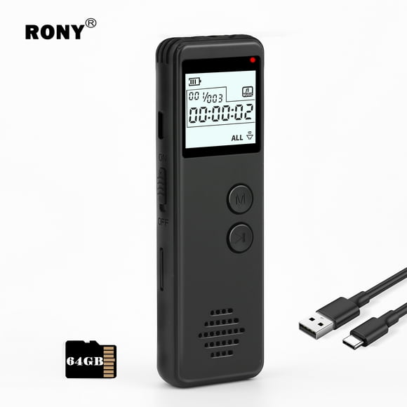 Mini Voice Recording