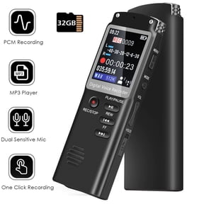 Electronic Voice Box