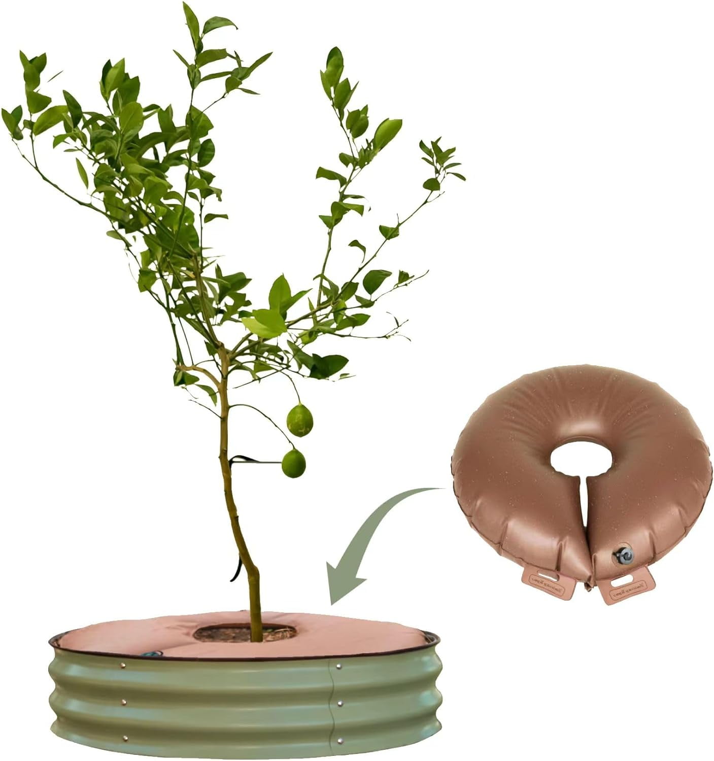 ROQ Raised Garden Bed 8” Tall Tree Surround with Watering Ring, Olive ...