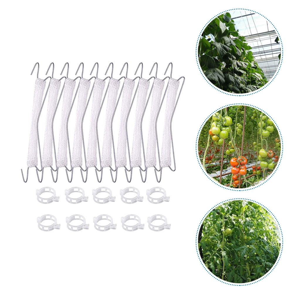 ROSENICE 1 Set Vine Tomato Holder Hook Hot Dip Galvanized Steel Wire ...