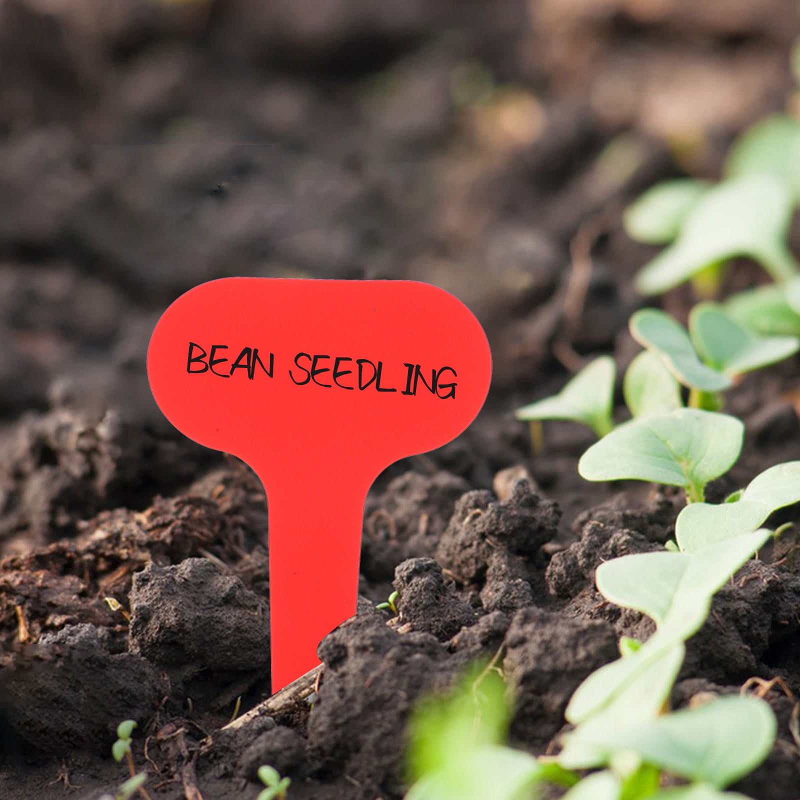 ROSENICE 100Set Mini T Size Garden Stake Tags for Identifying and ...