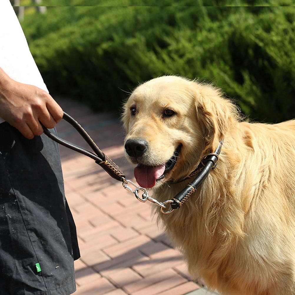 ROSENICE 1Pack P Chain for Medium and Large Dogs 28x0.6x0.6in - Walmart.com