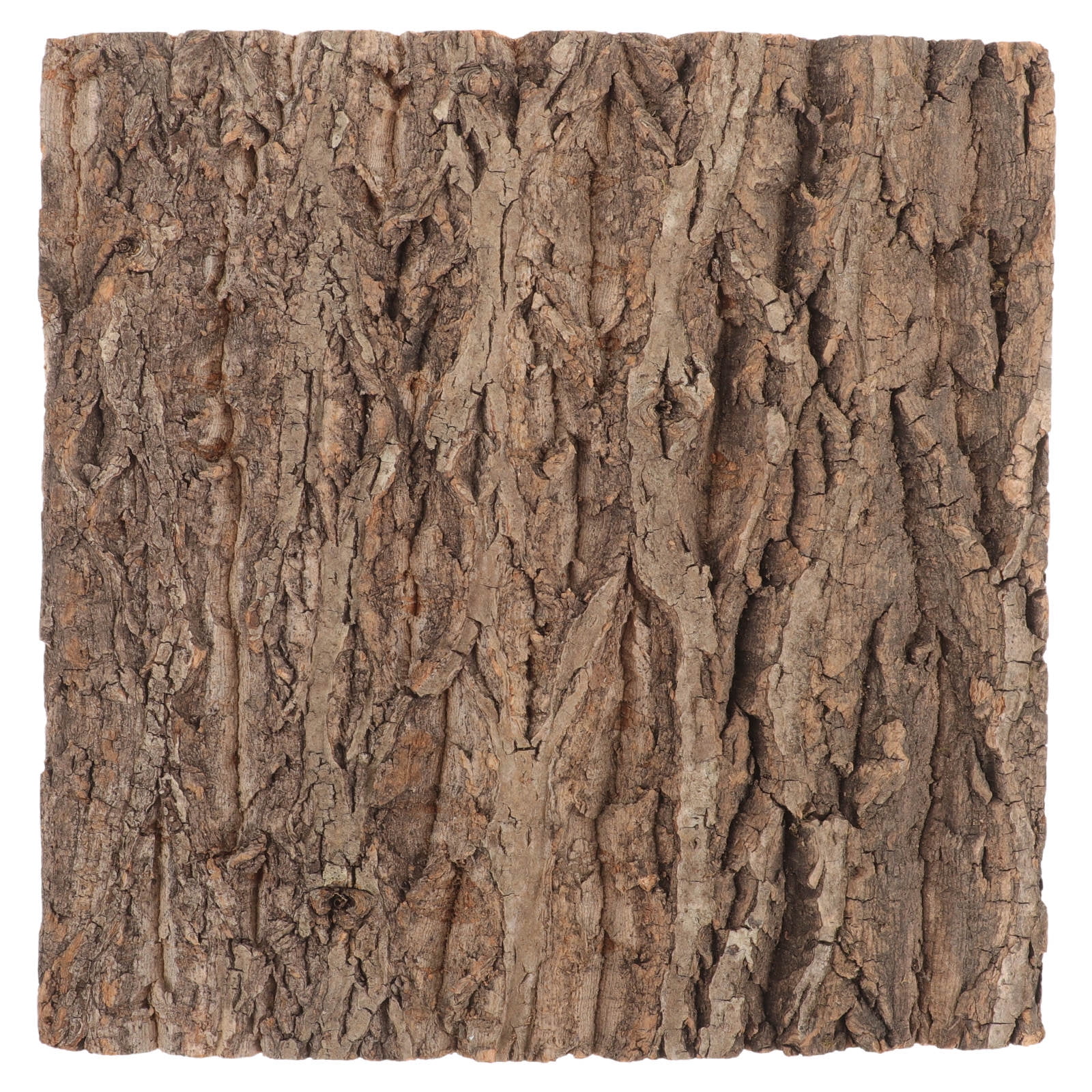 ROSENICE 1Pcs Reptile Cork Bark Decor for Terrarium Setup 30X30X2.5cm ...