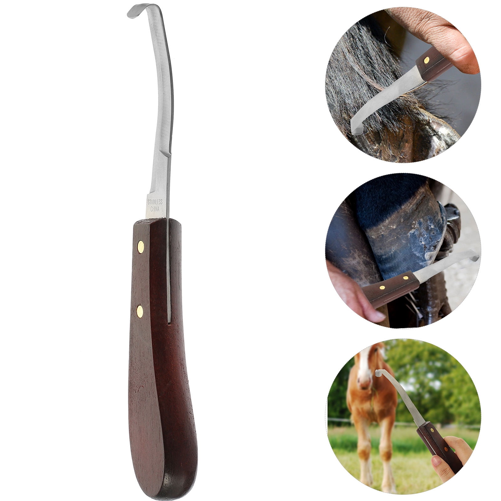 ROSENICE 1Set Stainless Steel Hoof Knife for Horse Grooming Kit Farm ...
