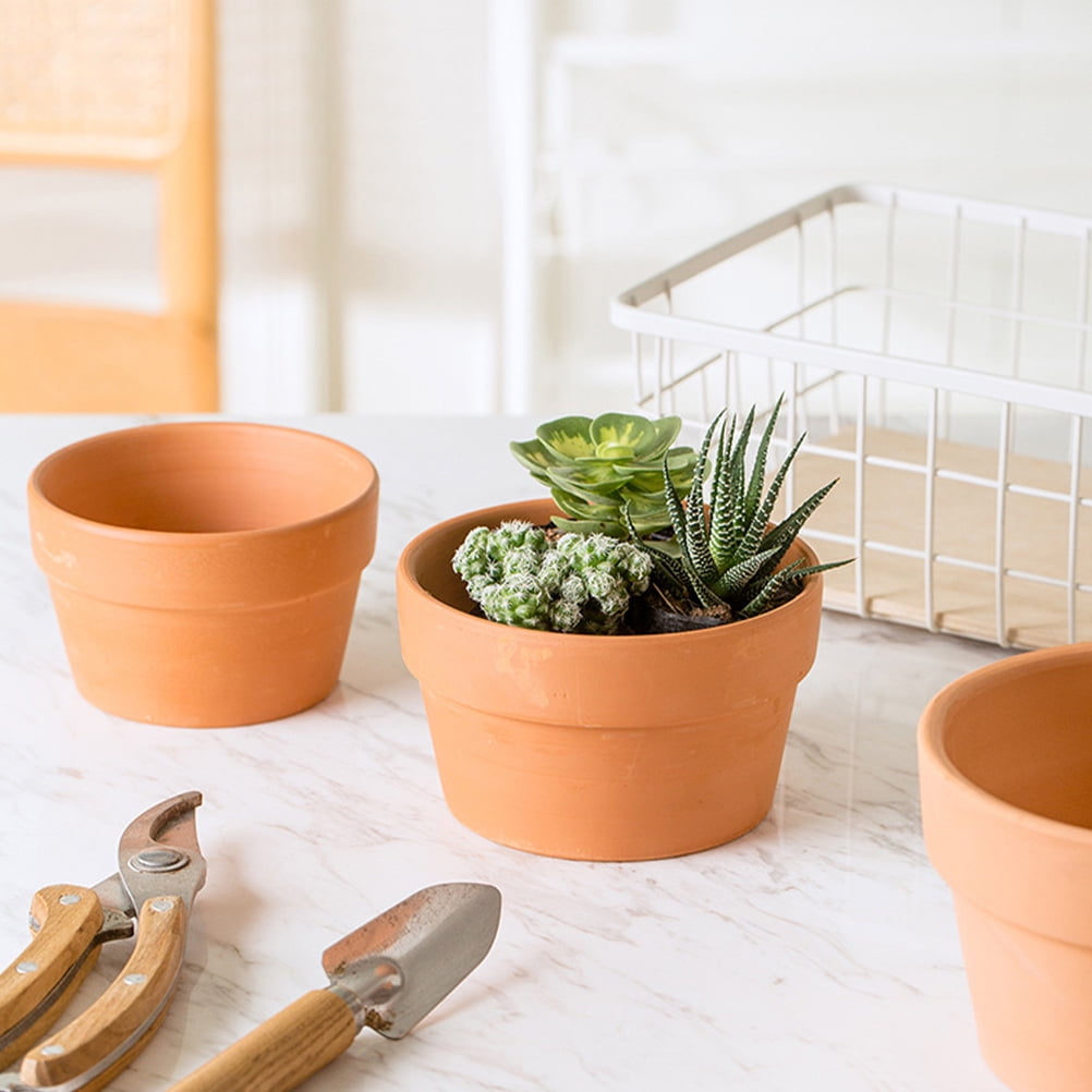 ROSENICE Terracotta Cactus Bowl Garden Bonsai Terracotta Orange Plant ...