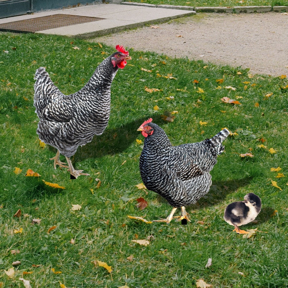 ROSENICE 3pcs Yard Chicken Stake Ground Inserted Realistic Hen Chick ...
