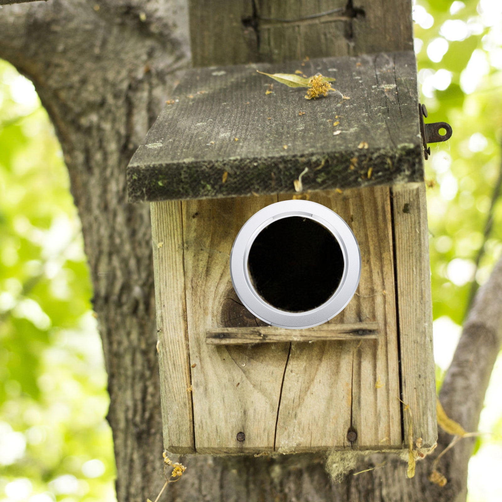 ROSENICE 4Pcs Birdhouse Hole Guard for Birds Breeding Box Accessory ...