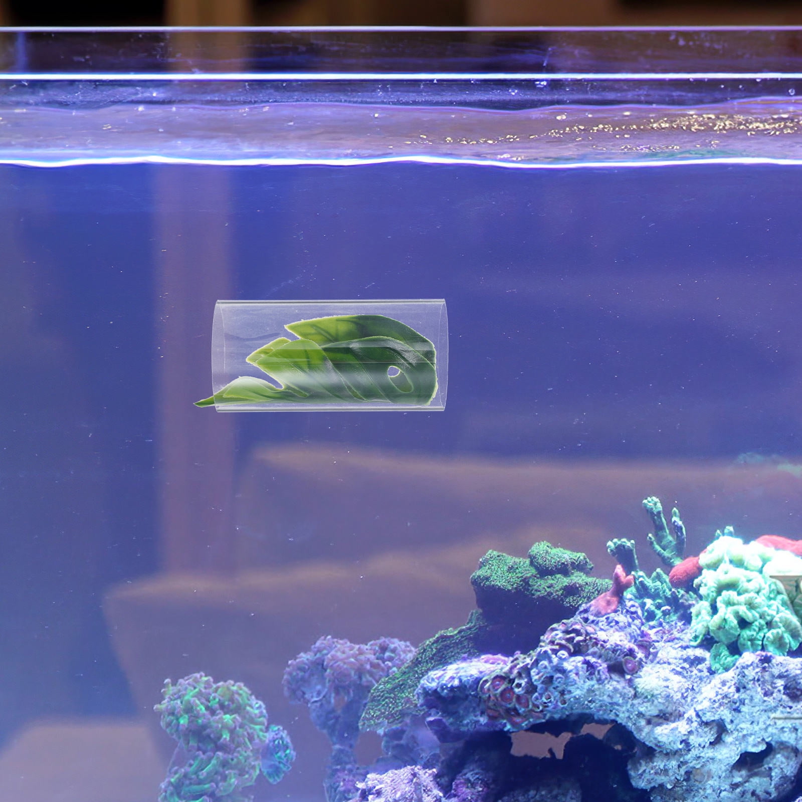 ROSENICE Betta Fish Resting Spot and Hideout Clear Betta Tube Tunnel ...