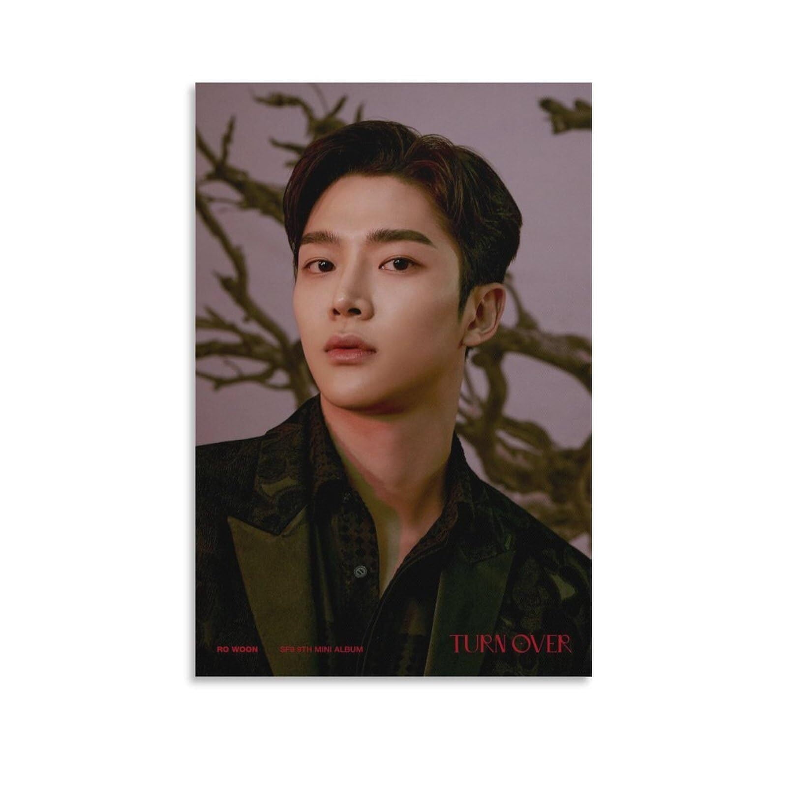 ROWOON SF9 TURN OVER Tear Drop Music Kpop Artist HD Print on Canvas Painting Wall Art for Living ...