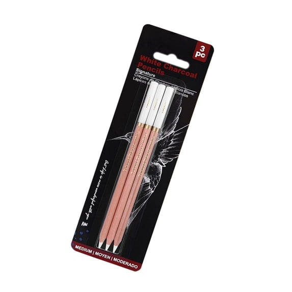 ROZYARD 2/3/4x White Charcoal Pencils Highlight Pencil Drawing Pencils ...