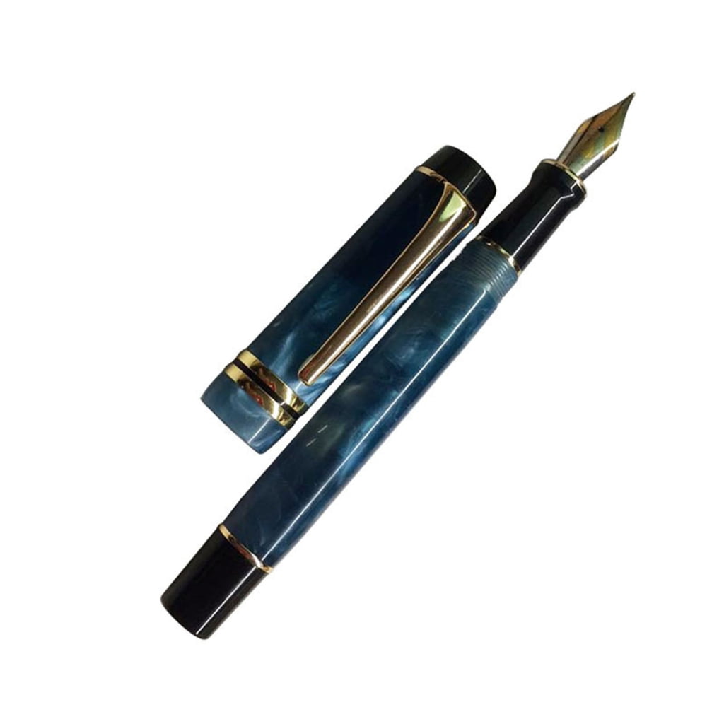 ROZYARD Disposable Fountain Pens, Ink Fine Point Pens Smooth Writing ...